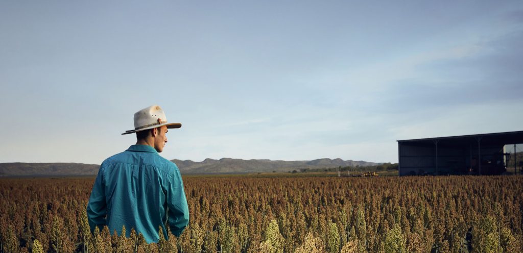 Home - Pacific Seeds