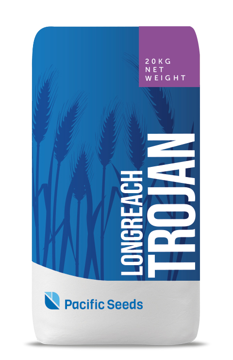 Wheat - Pacific Seeds