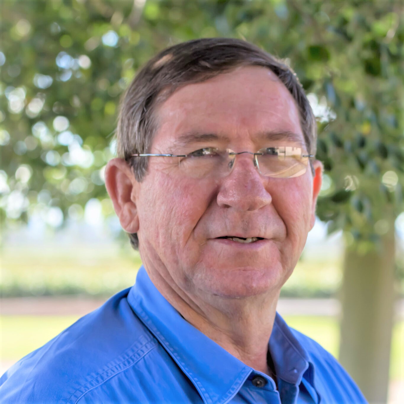 A history of grain sorghum in Australia - Pacific Seeds