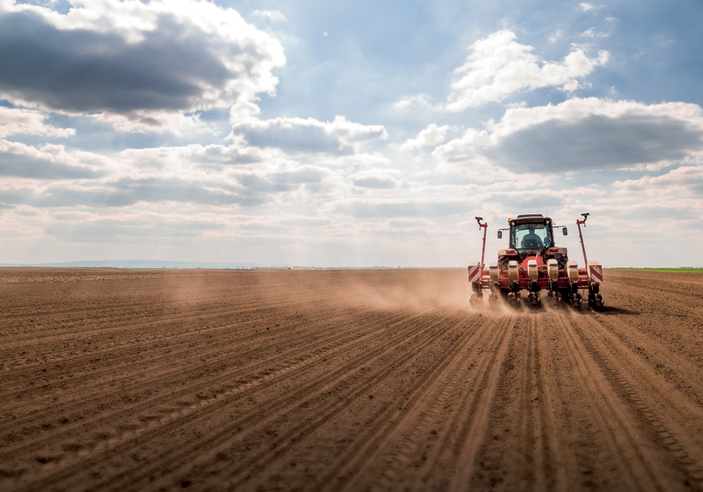 Seeds of opportunity - Pacific Seeds