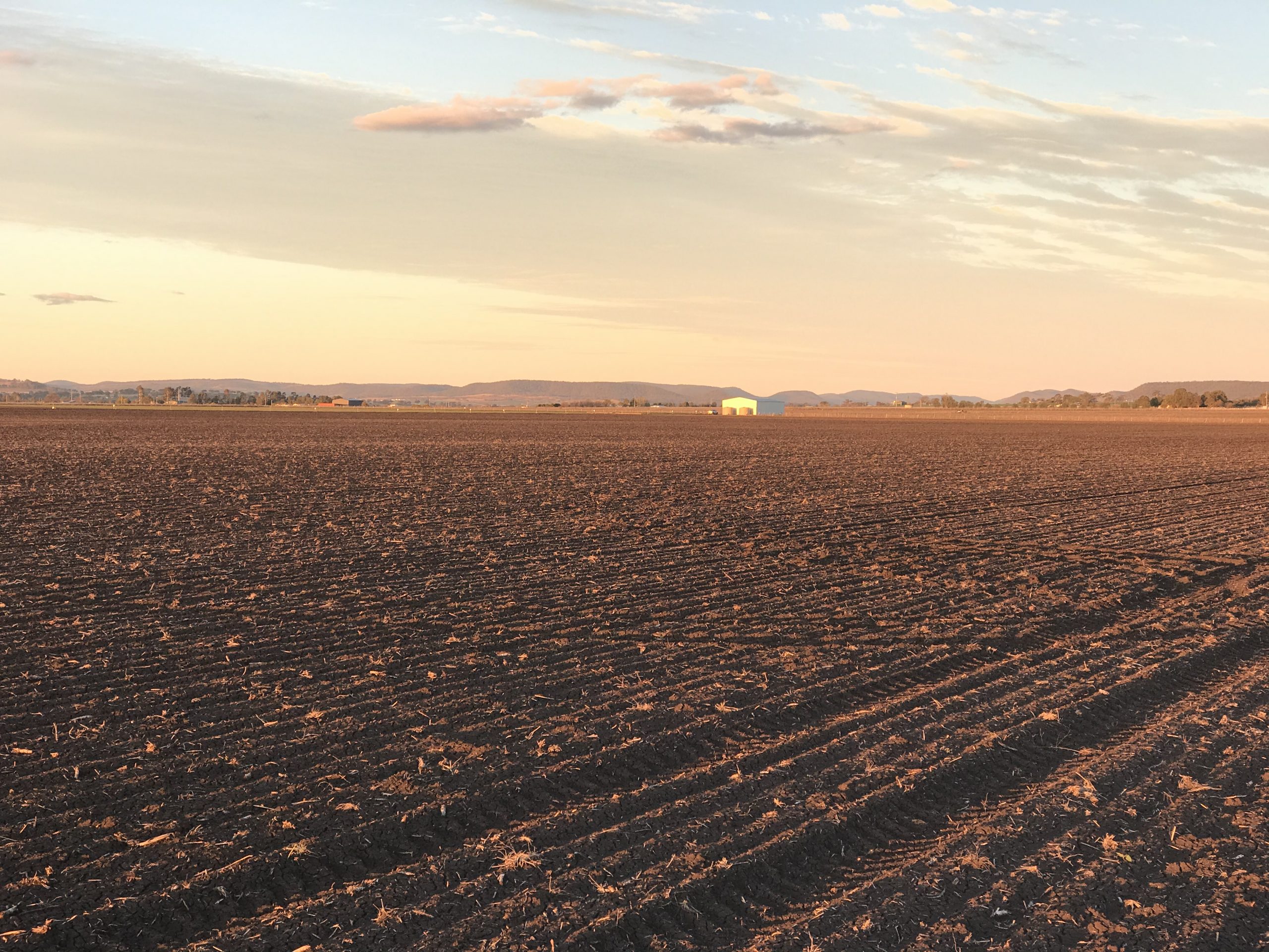 New agronomy initiative to supercharge Ag industry - Pacific Seeds