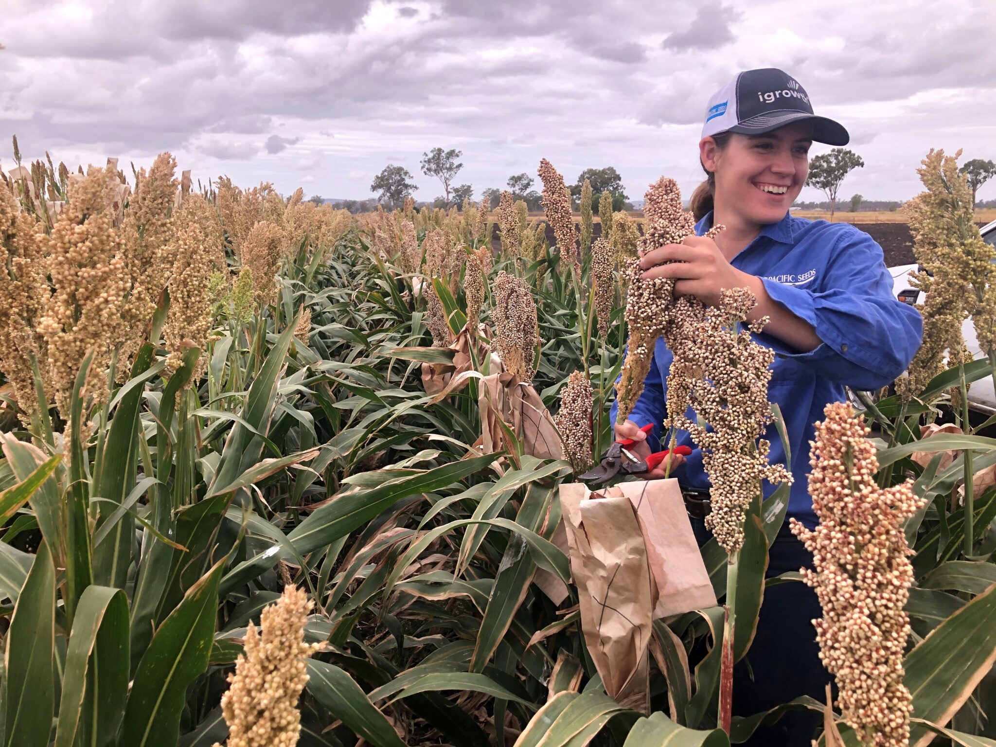 Women in Ag: The Force of female farming - Pacific Seeds