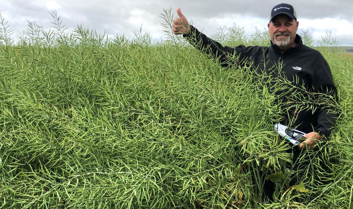 Pacific Seeds expands expertise in Western Victoria, SA and Tasmania ...