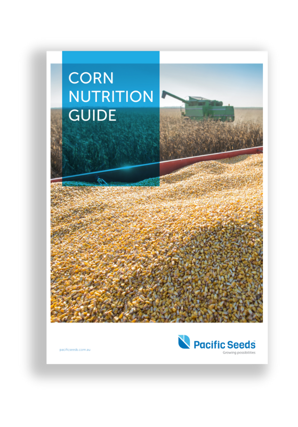 Corn Nutrition Guide - Pacific Seeds
