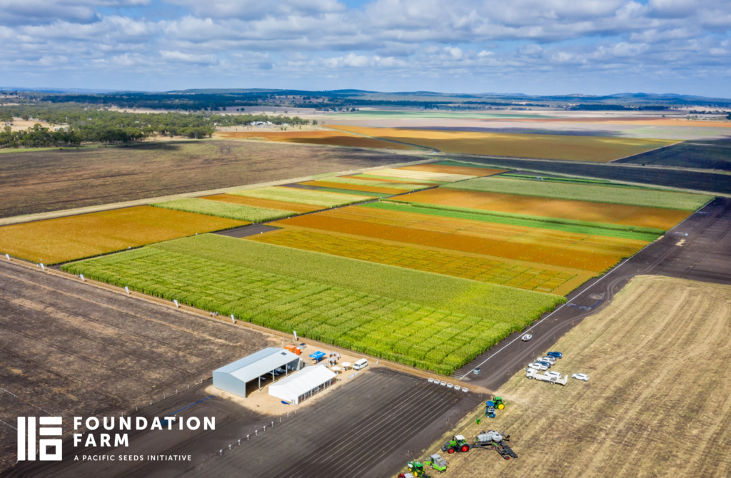 Foundation Farm - Pacific Seeds