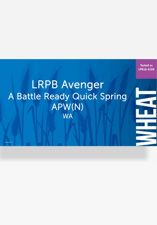 LRPB Avenger Agronomy Pack - Pacific Seeds