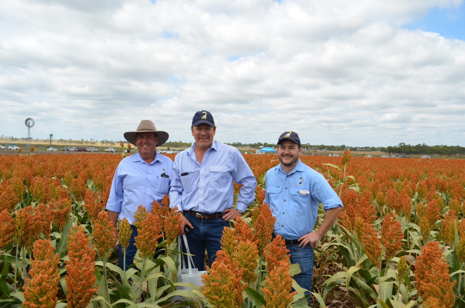 Sorghum yields bolstered by all-rounder crop - Pacific Seeds