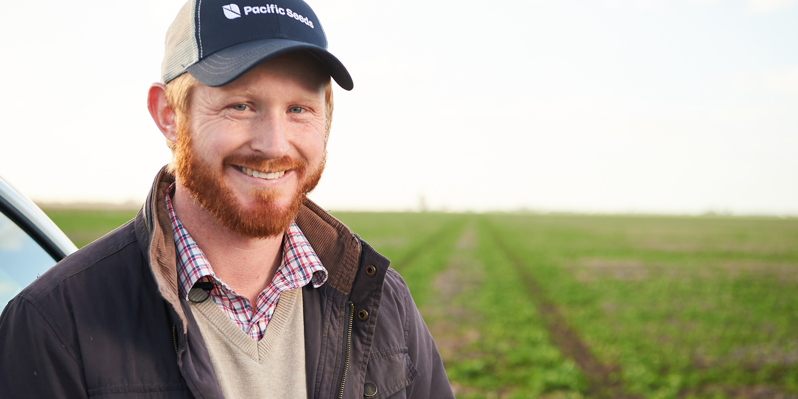 Yielding positive results - Pacific Seeds