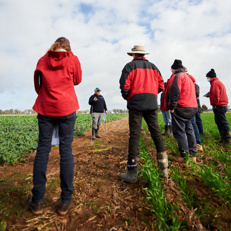 An expert in their field - Pacific Seeds