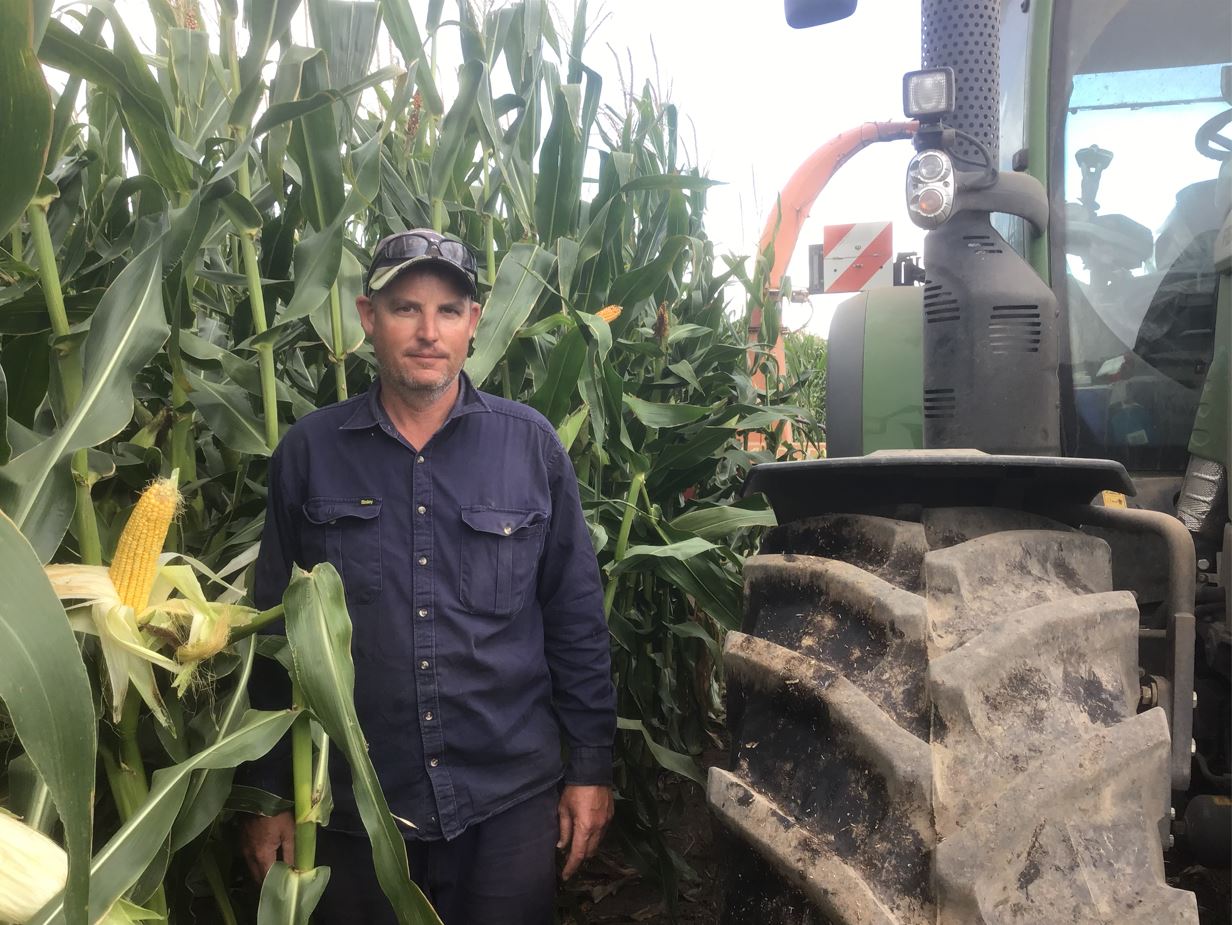 Season delivers bumper silage results - Pacific Seeds