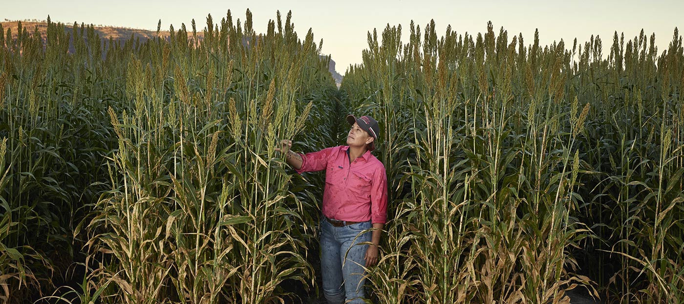 Careers - Pacific Seeds