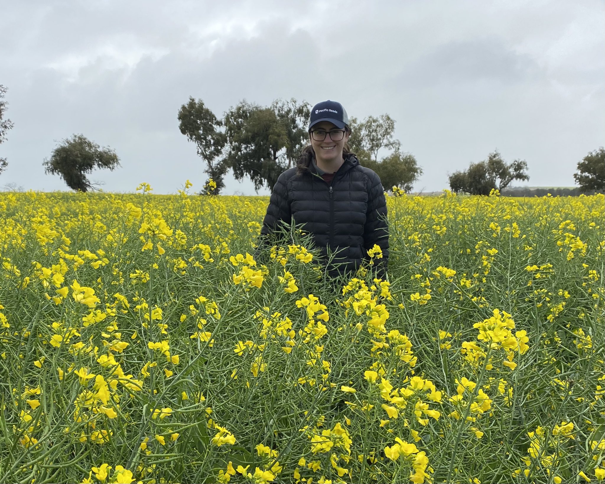 Pacific Seeds Regional Appointment - Central WA - Pacific Seeds