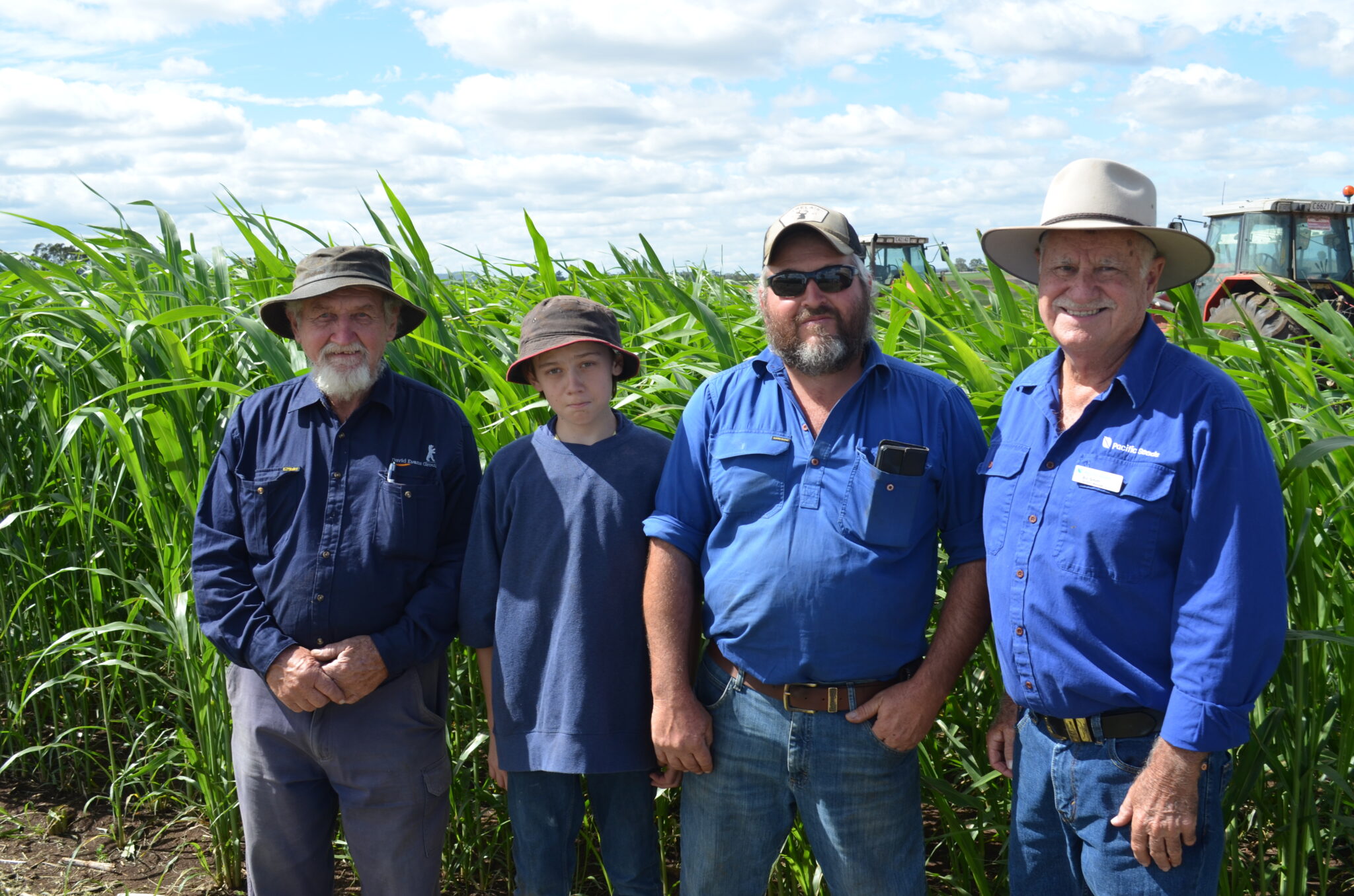 Forage field day a hit with local growers and agros - Pacific Seeds