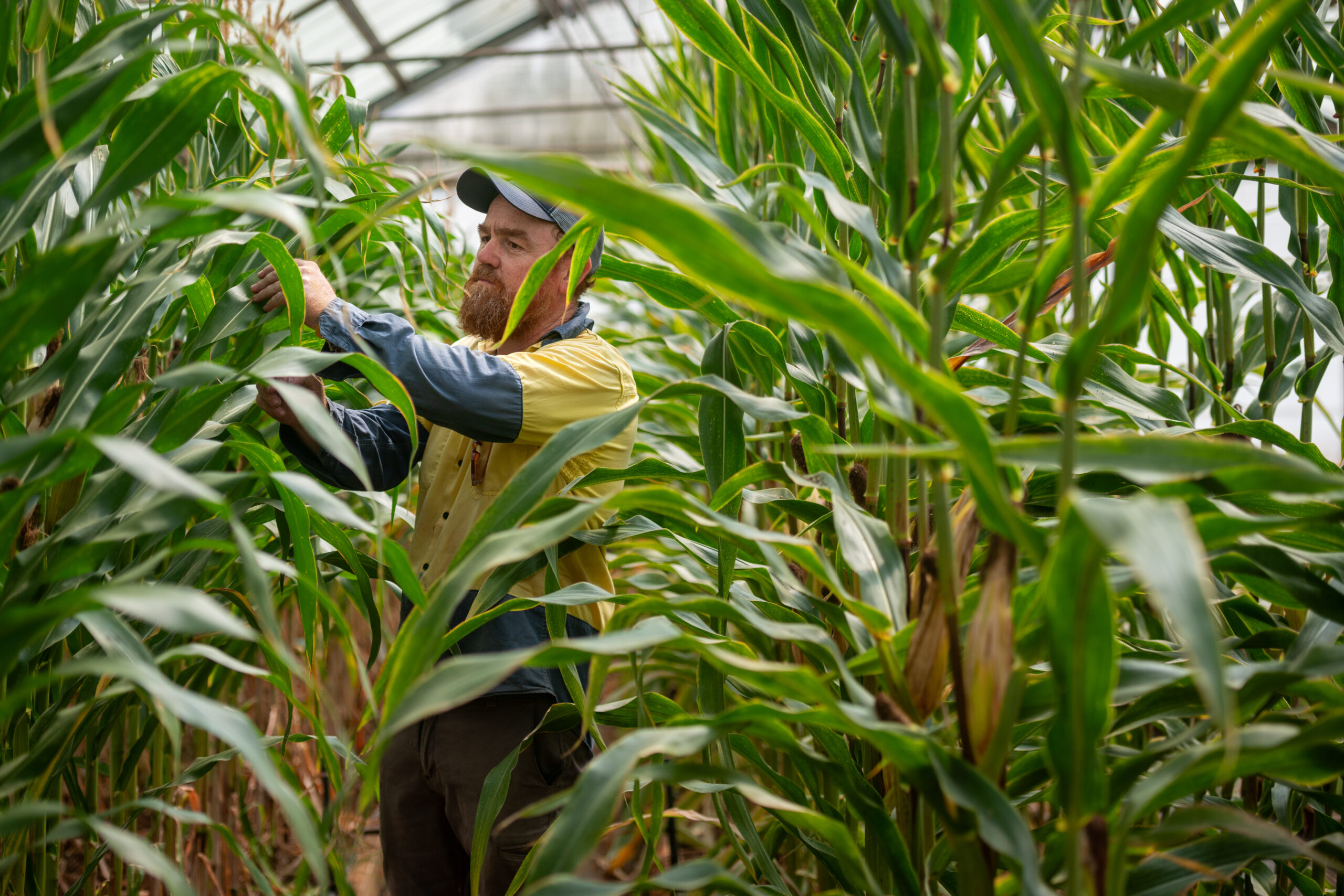 Careers - Pacific Seeds