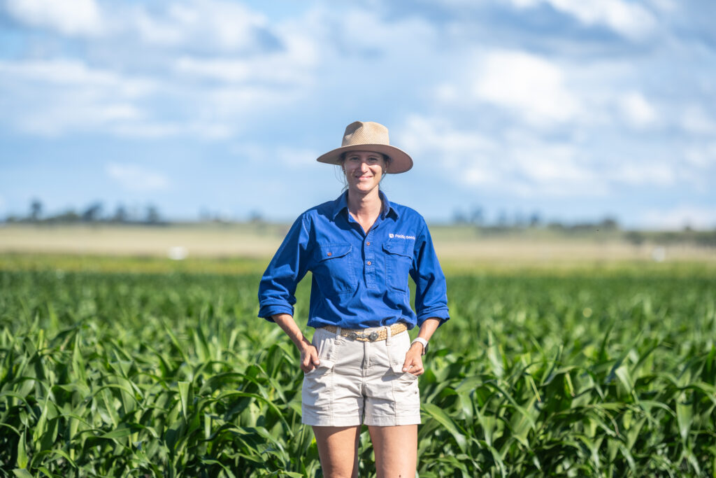 Agronomy expertise set to bring benefits to Western Downs growers - Pacific Seeds